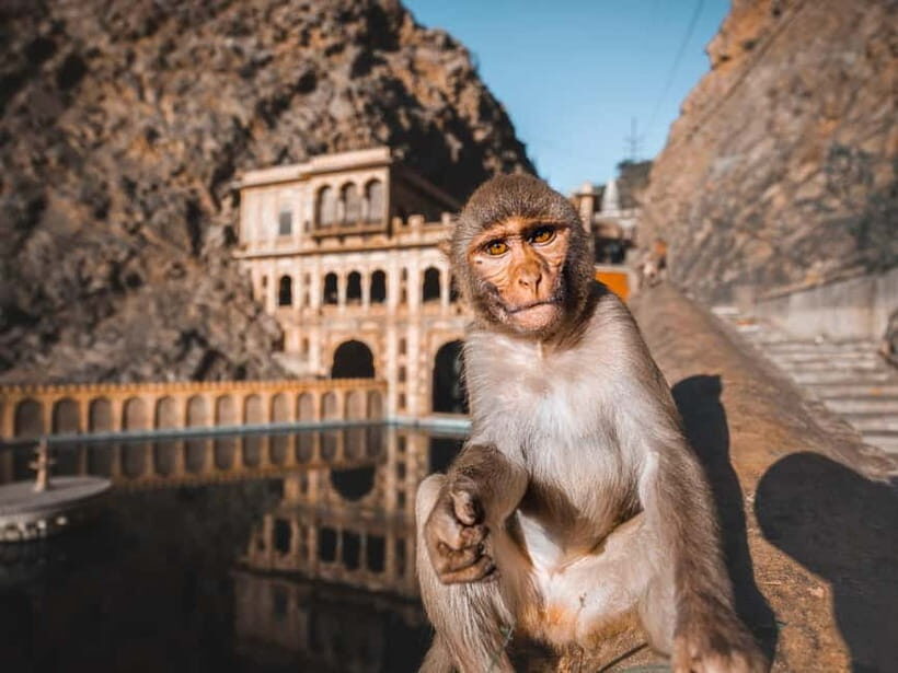 From Delhi: 2-Day Agra & Jaipur Golden Triangle Experience - The Itinerary Breakdown: What You Can Expect