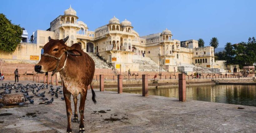 From Delhi: Jaipur Private Day Trip with Guide - A Detailed Look at the Jaipur Private Day Trip