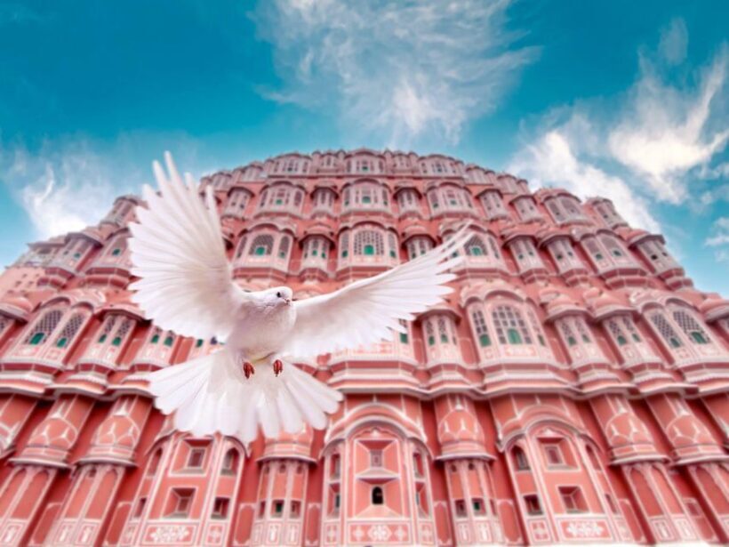 From Delhi: Jaipur Private Day Trip with Guide - Returning to Delhi