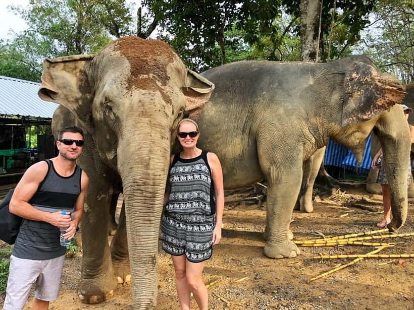 From Delhi: Jaipur Tour with Guide, Transport & Elephants - The Sum Up: Who Is This Tour Best For?