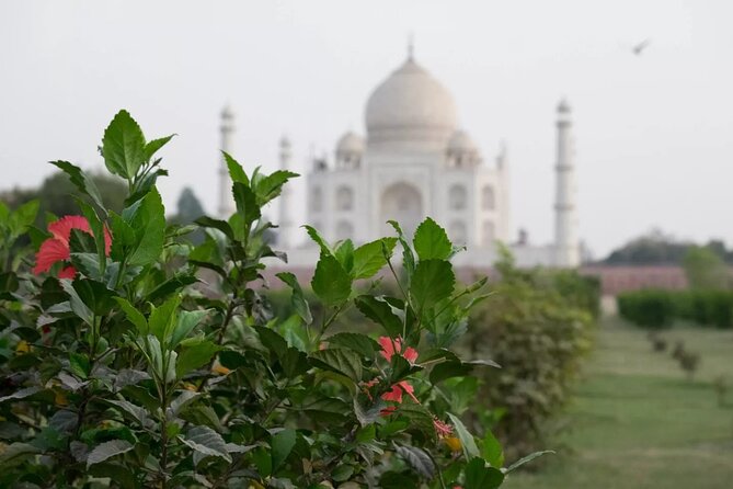 From Delhi : Luxury Taj Mahal Tour By Luxury Car- All Inclusive - Potential Drawbacks or Considerations