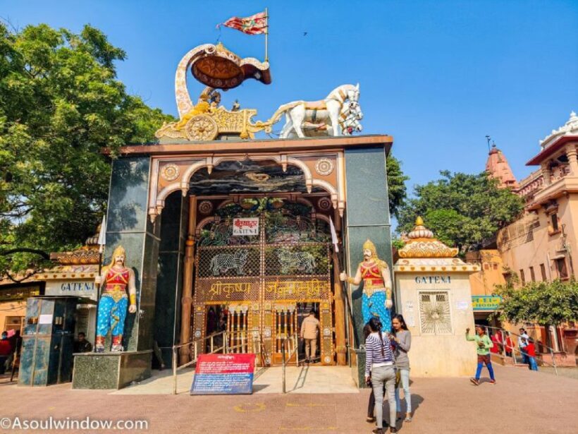 From Delhi: Private 1-Day Mathura Vrindavan Tour - Analyzing the Value and Suitability