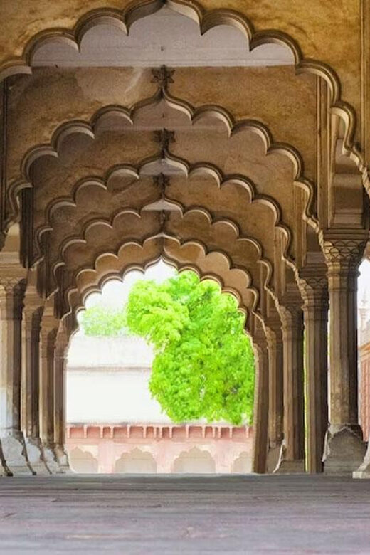 From Delhi: Private Taj Mahal & Agra Tour with 5* Lunch - Authentic Experiences and Traveler Feedback