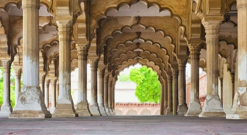 From Delhi: Private Taj Mahal & Agra Tour with 5* Lunch - Who Will Love This Tour?