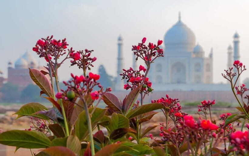 From Delhi: Same Day Taj Mahal Tour by Gatimaan Train - Final Thoughts