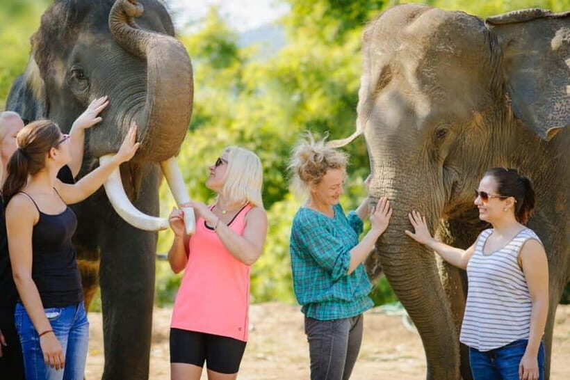From Delhi: Sunrise Taj Mahal Tour With Elephant SOS - The Practicalities