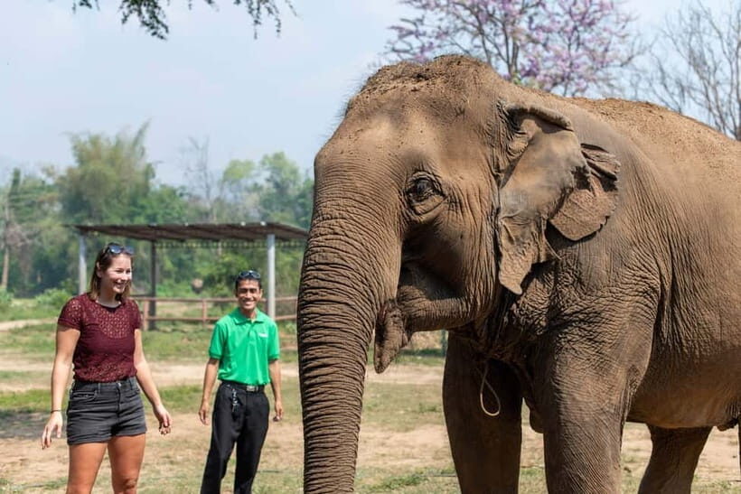 From Delhi: Taj Mahal, Agra Fort & Elephant Centre Tour - FAQ