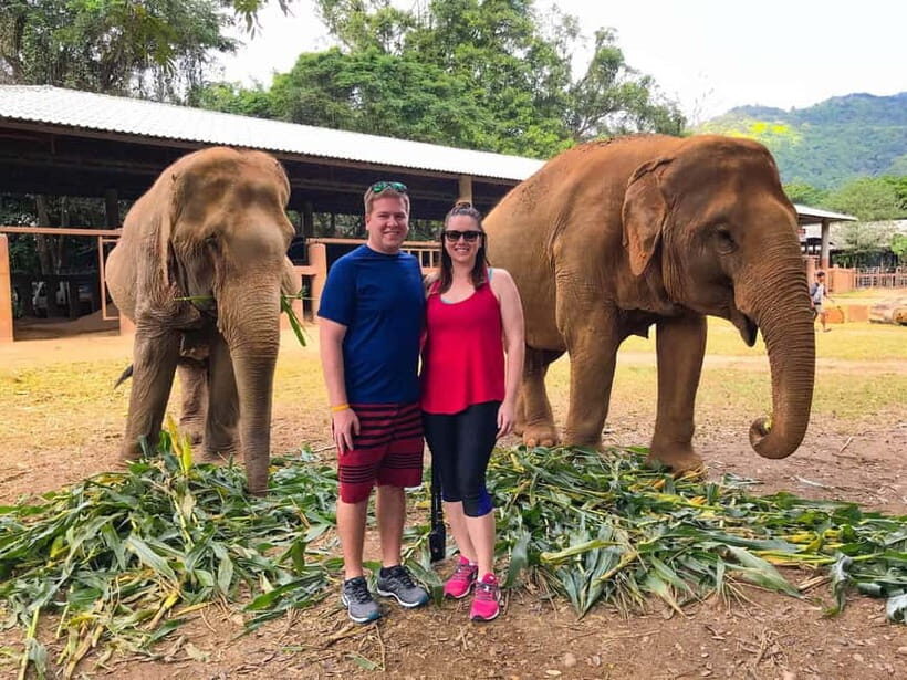 From Delhi: Taj Mahal, Agra Fort & Elephant Rescue Tour - From Delhi: Taj Mahal, Agra Fort & Elephant Rescue Tour — A Practical, Authentic Day Trip