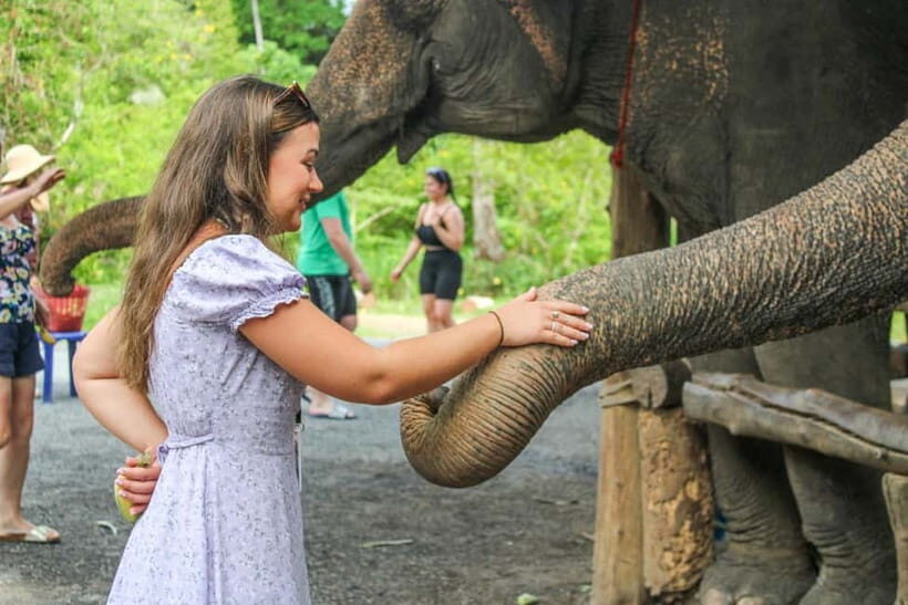 From Delhi: Taj Mahal, Agra Fort & Elephant Rescue Tour - The Sum Up: Is This Tour Worth It?