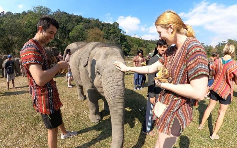 From Delhi: Taj Mahal, Agra Fort & Elephant Rescue Tour - FAQ
