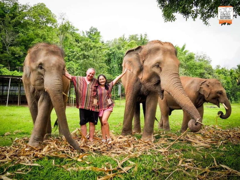 From Delhi: Taj Mahal, Agra Fort & Elephant Sanctuary Tour - Pricing and Value