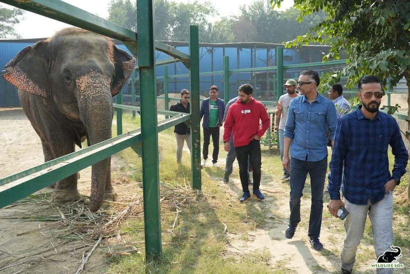 From Delhi: Taj Mahal & Agra Tour with Elephant Wildlife SOS - FAQ