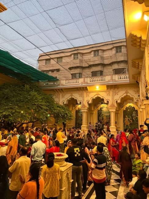 From Delhi: Taj Mahal & Elephant SOS with Mathura Vrindavan - A Deep Dive into the Experience