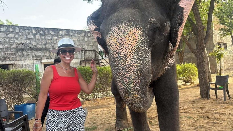 From Delhi: Taj Mahal Sunrise and Elephant Conservation Tour - The Practicality of Starting Early