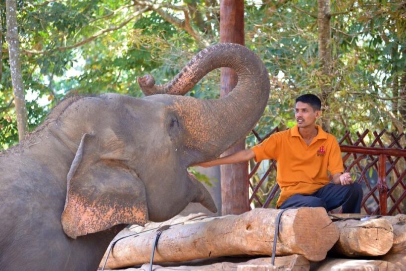 From Delhi: Taj Mahal Sunrise and Elephant Wildlife SOS Tour - Final Thoughts