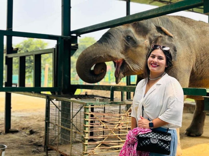 From Delhi: Taj Mahal Sunrise Tour w/ Elephant Conservation - Who Will Love This Tour?