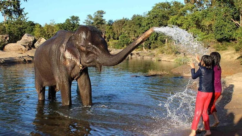 From Delhi: Taj Mahal Sunrise Tour w/ Elephant Conservation - Key Points
