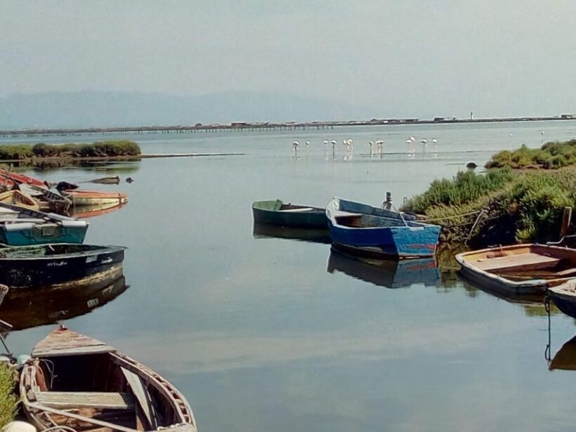 From Deltebre: Ebro Delta National Park Multi-Stop Day Trip - FAQ