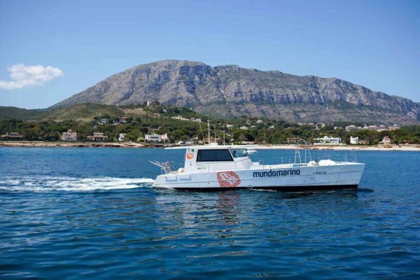 From Denia: Boat Trip to Tallada Cave with Optional Swim - Final Thoughts