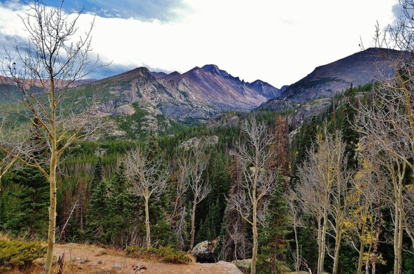 From Denver: Guided Hike in Rocky Mountain National Park - Price and Value