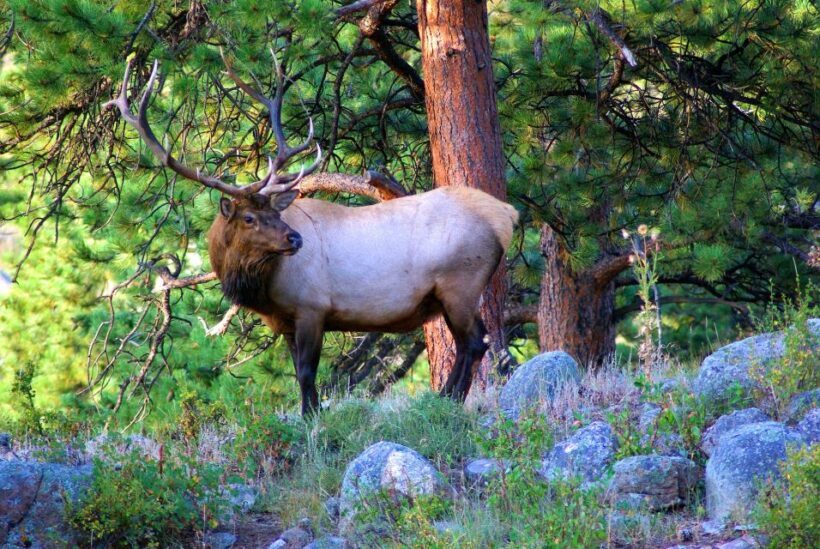 From Denver: Hike the Rockies Tour - An Authentic Rocky Mountain Experience