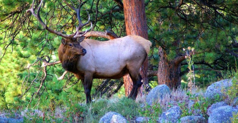 From Denver: Hike the Rockies Tour - Who Will Love This Tour?