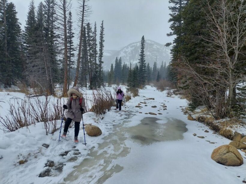 From Denver: Snowshoeing in Rocky Mountains - The Overall Value