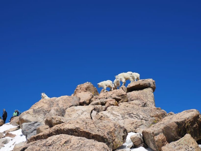 From Denver: Trip to Mount Blue Sky Summit and Glacial Lake - Key Points