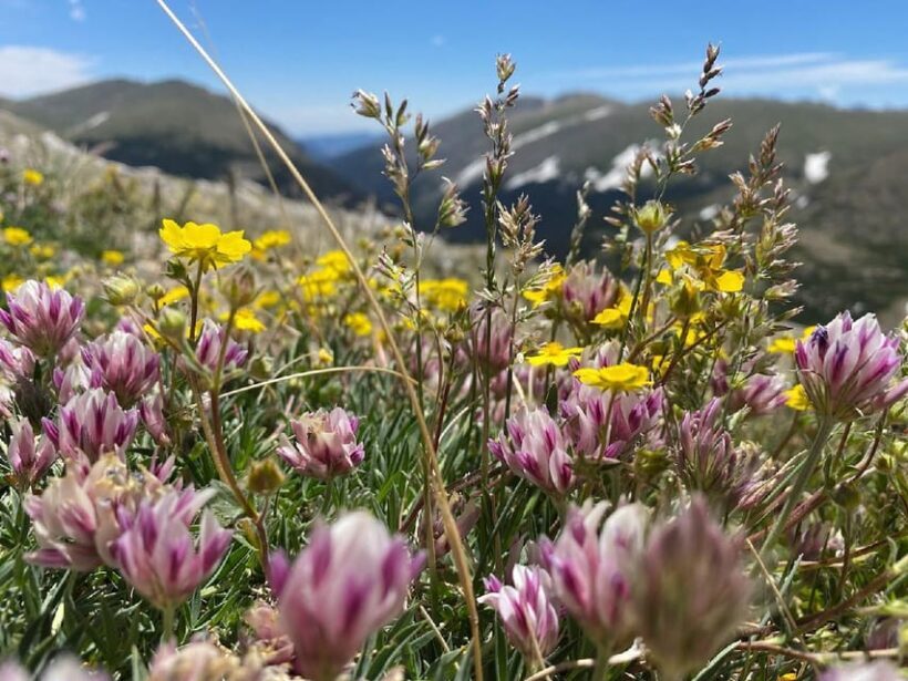 From Denver: Trip to Mount Blue Sky Summit and Glacial Lake - The Sum Up