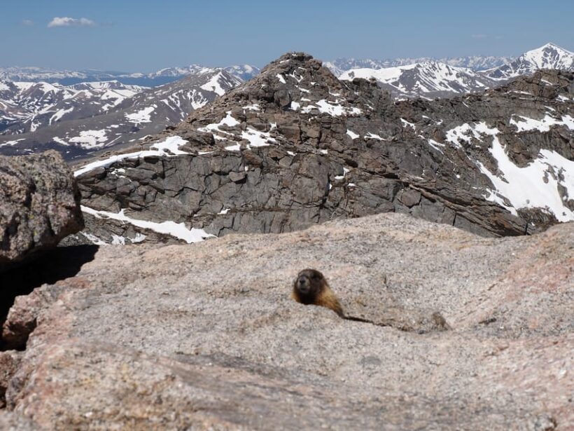 From Denver: Trip to Mount Blue Sky Summit and Glacial Lake - FAQ