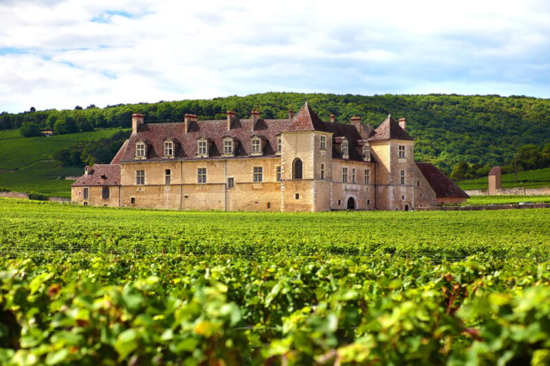 From Dijon: Burgundy Villages and Wine Tasting Tour - Key Points