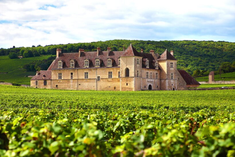 From Dijon: Côte de Nuits Wine-Tasting Tour - What to Expect and What Not to Expect