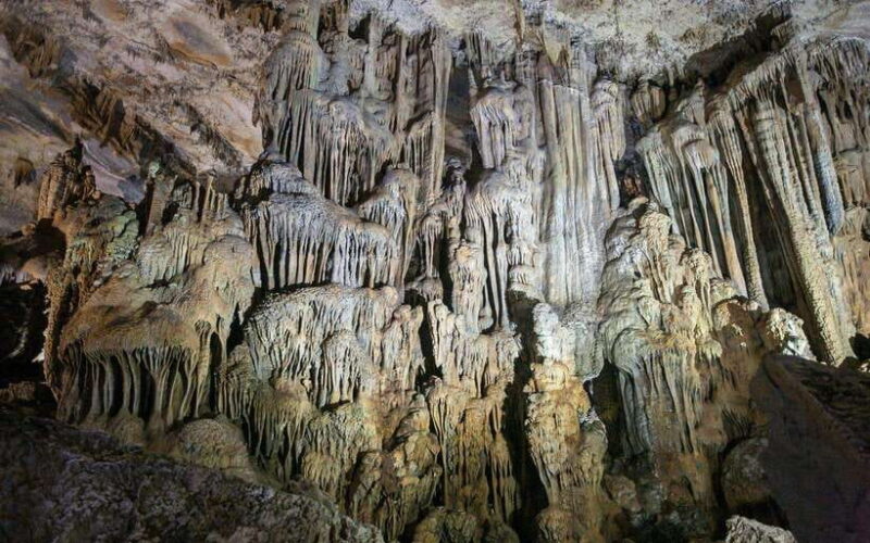 From Dong Hoi : Paradise and Phong Nha Caves Day Trip - Second Stop: The Historic Phong Nha Cave