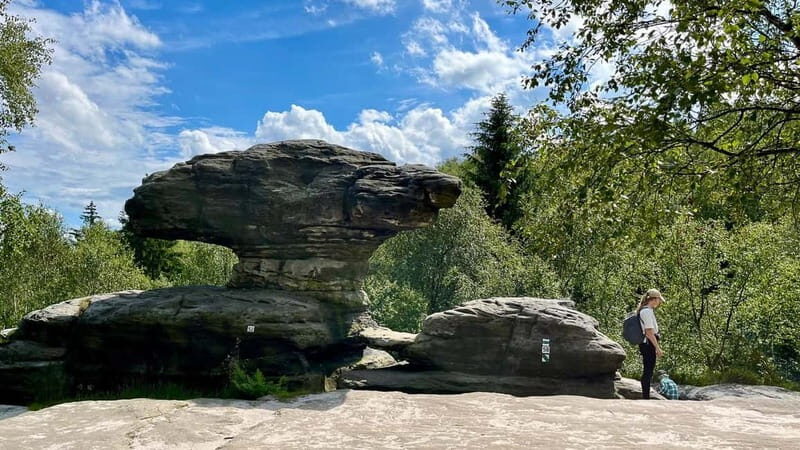 From Dresden: Bastei Bridge & Bohemian Switzerland Day Trip - Who Would Enjoy This Tour?