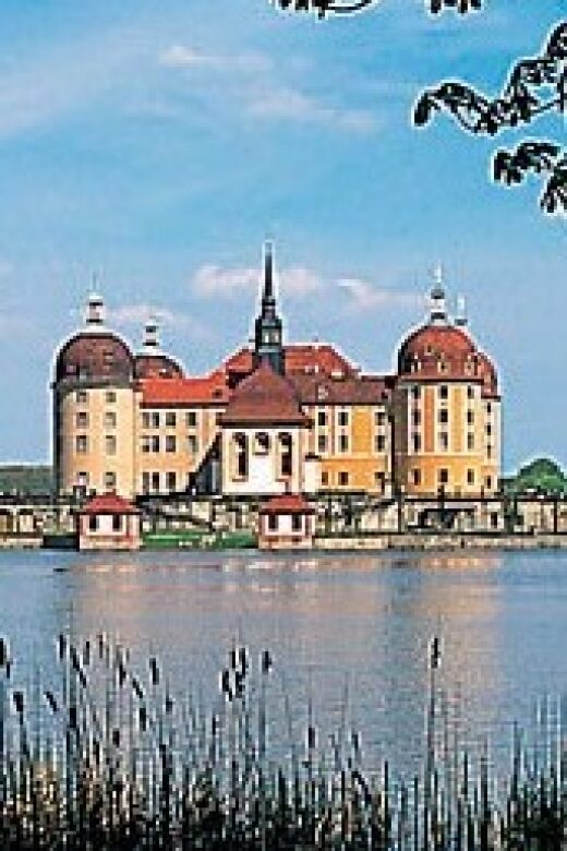 From Dresden: Trip to Meißen and Moritzburg - A Detailed Look at the Tour Experience