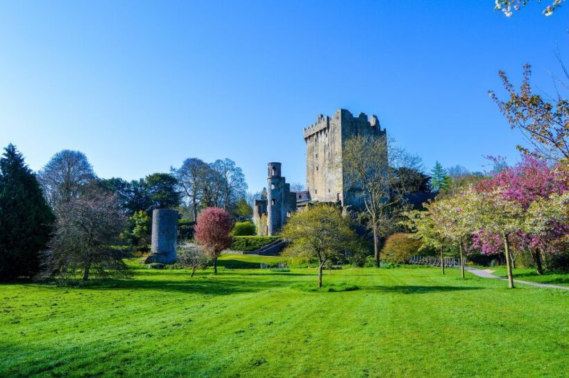From Dublin: 6-Day All of Ireland Rail Tour - Key Points