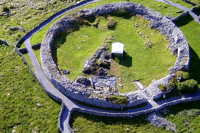 From Dublin: Cliffs of Moher, Boat Tour & Aillwee Cave - Traveler Experiences and Feedback