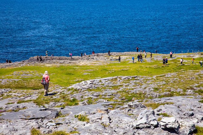 From Dublin: Cliffs of Moher, Boat Tour & Aillwee Cave - Alternative Activities in Case of Cancellation