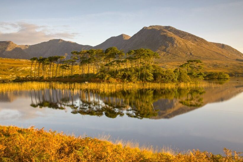 From Dublin: Connemara and Galway Full-Day Tour - Pricing and Overall Value
