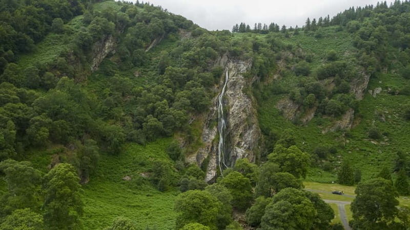 From Dublin: Wicklow, Glendalough, Waterfall & Sheepdog Demo - Who Will Love This Tour?