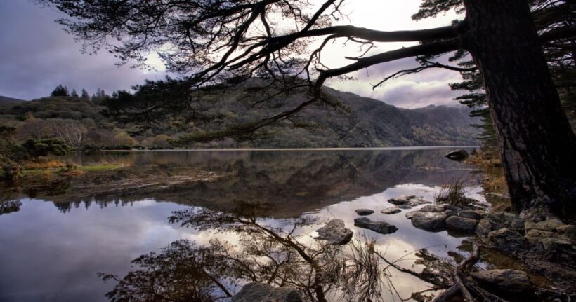From Dublin: Wicklow Mountains, Glendalough, & Kilkenny Tour - Glendalough: A Monastic Marvel