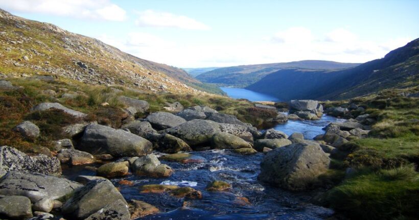 From Dublin: Wicklow Mountains, Glendalough, & Kilkenny Tour - The Sheepdog Trial: A Unique Irish Tradition