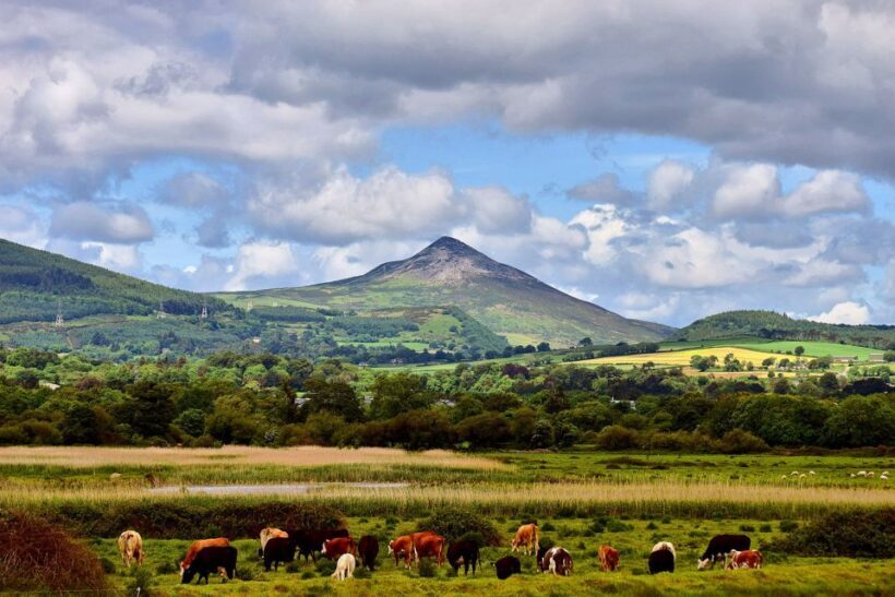 From Dublin: Wicklow Mountains, Glendalough & Kilkenny Tour - The Sum Up
