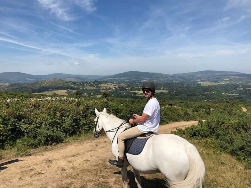 From Dublin: Wicklow, Powerscourt, and Glendalough Day Tour - A Deep Dive into the Wicklow, Powerscourt, and Glendalough Tour