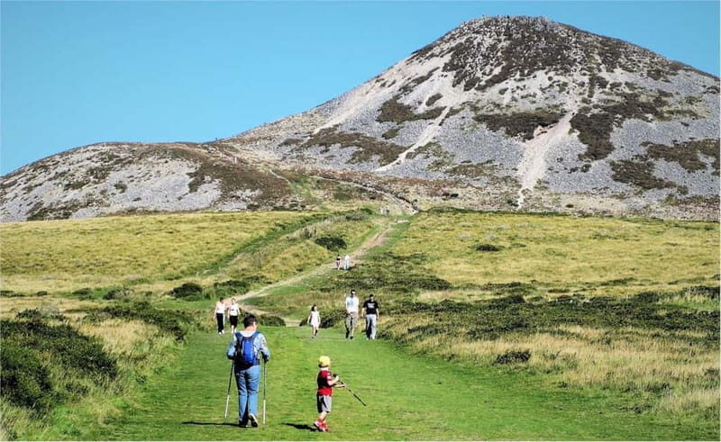 From Dublin: Wicklow, Powerscourt, and Glendalough Day Tour - Who Should Consider This Tour?