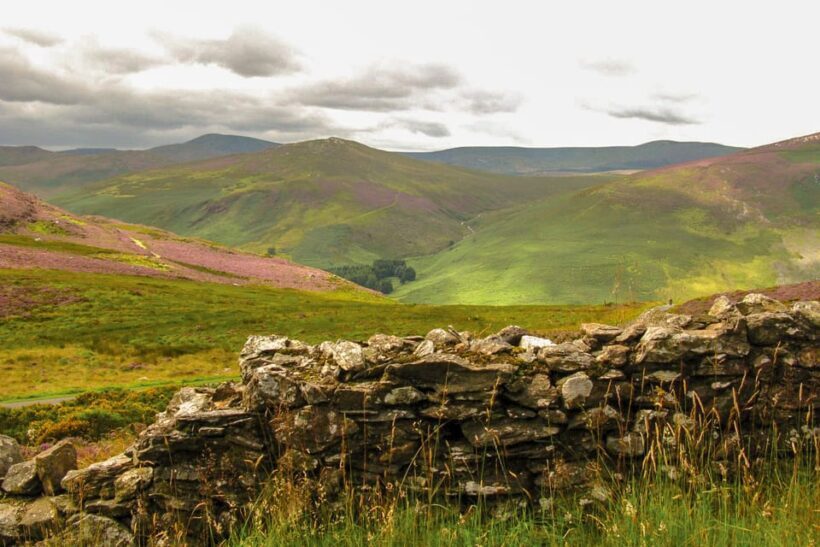 From Dublin: Wild Wicklow Mountains and Glendalough Tour - Authentic Experiences and Highlights from Travelers