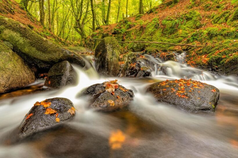 From Dublin: Wild Wicklow Mountains and Glendalough Tour - FAQs: Your Practical Questions Answered