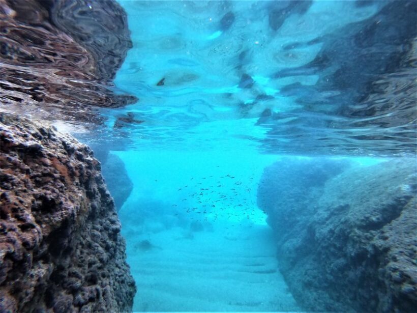 From Dubrovnik: 4-hour Elafiti Islands Private Boat Tour - The Skipper & Personal Service