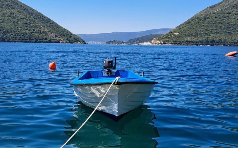 From Dubrovnik: Bay of Kotor Montenegro Private Tour - The Sum Up