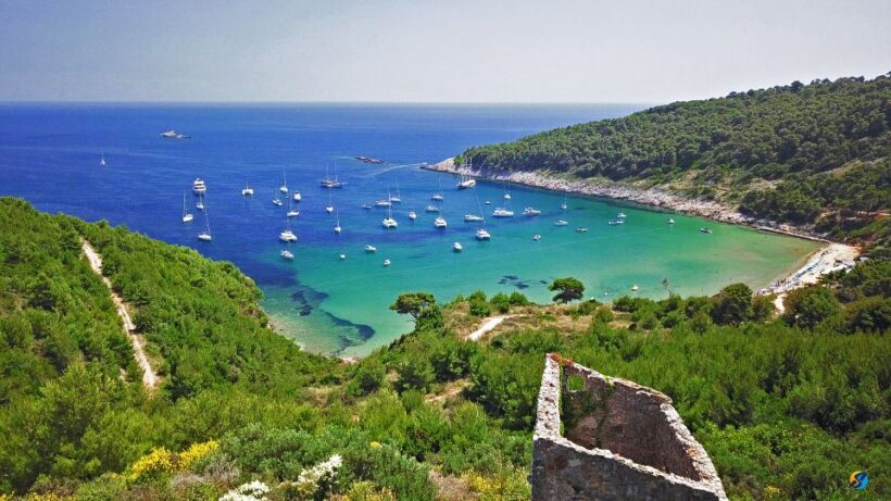 From Dubrovnik: Full-Day Private Boat Tour of Elafiti Island - Why Choose a Private Boat Tour of the Elafiti Islands?